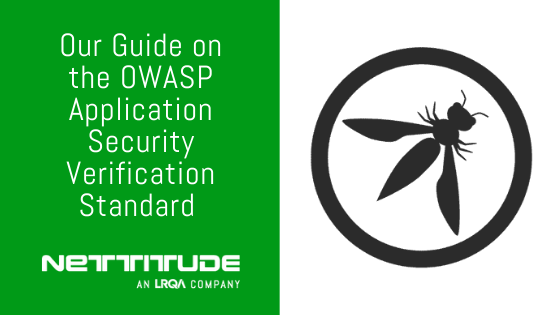 Our Guide On OWASP ASVS Award Winning Cybersecurity